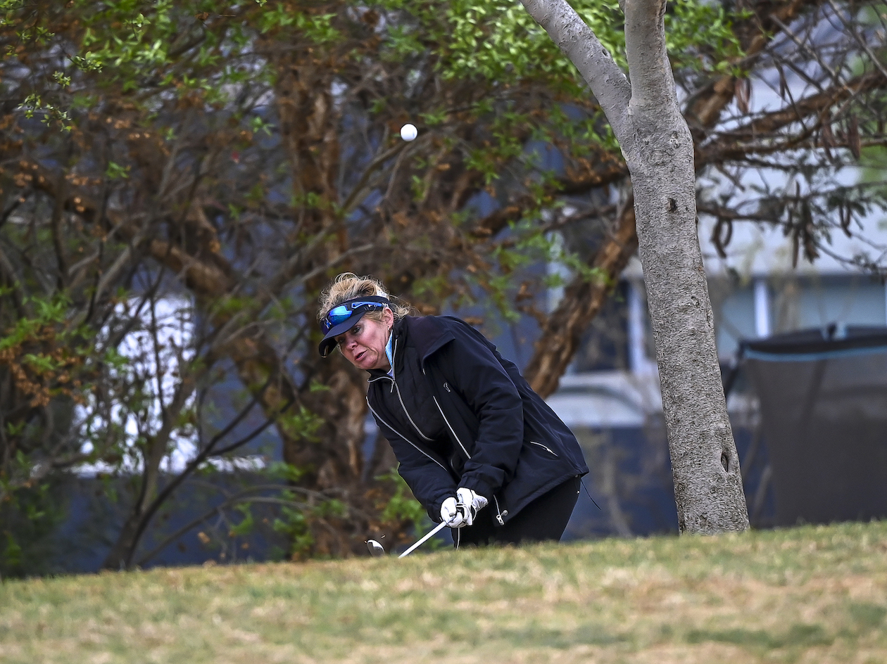 My experience with G4D - Charlene Pienaar, South Africa - EDGA Player ...